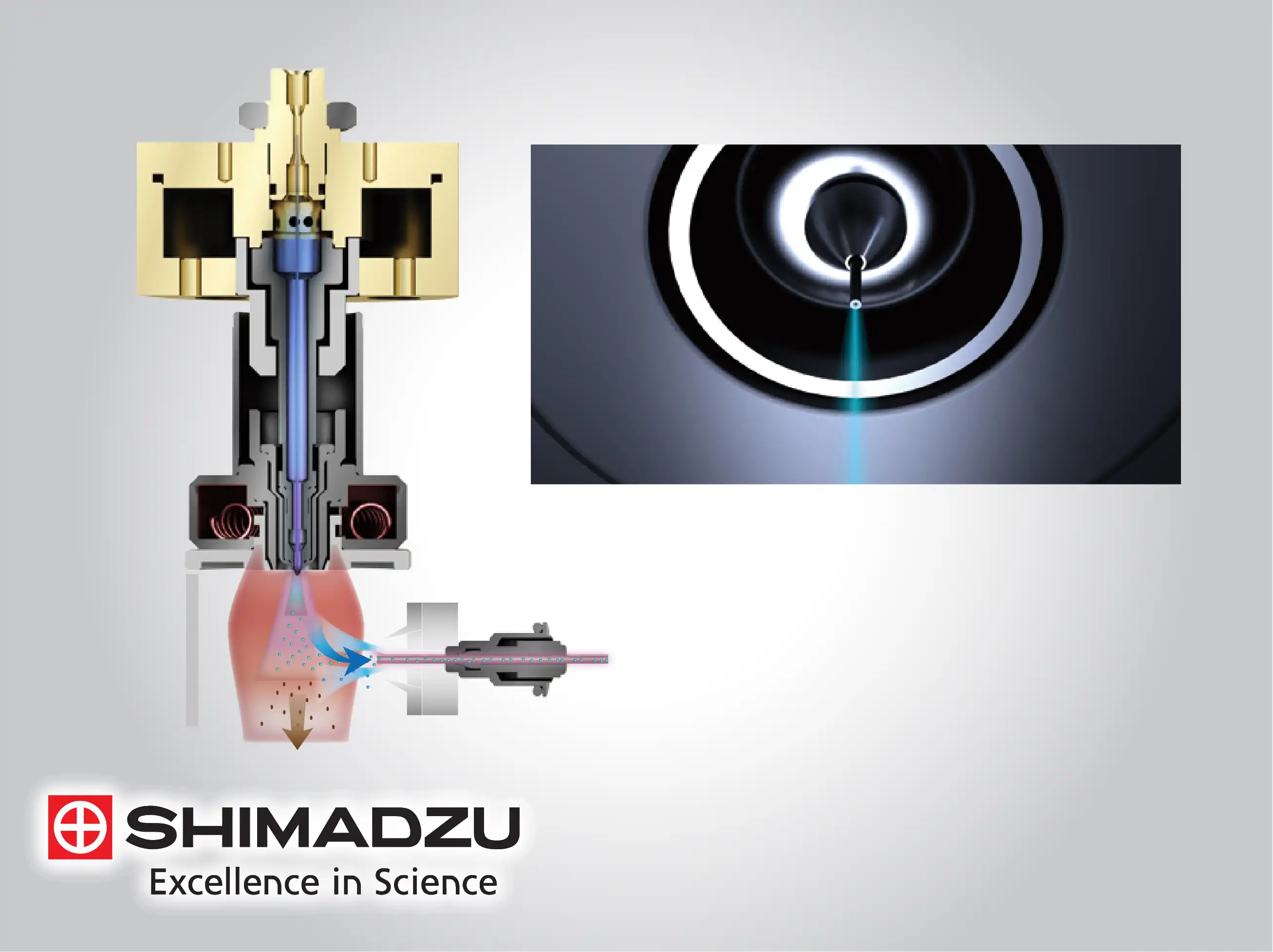 Shimadzu Triple Quadrupole LC-MS/MS